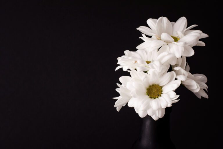 Delgardo Fernando Pinto - Augustus Funeral Home